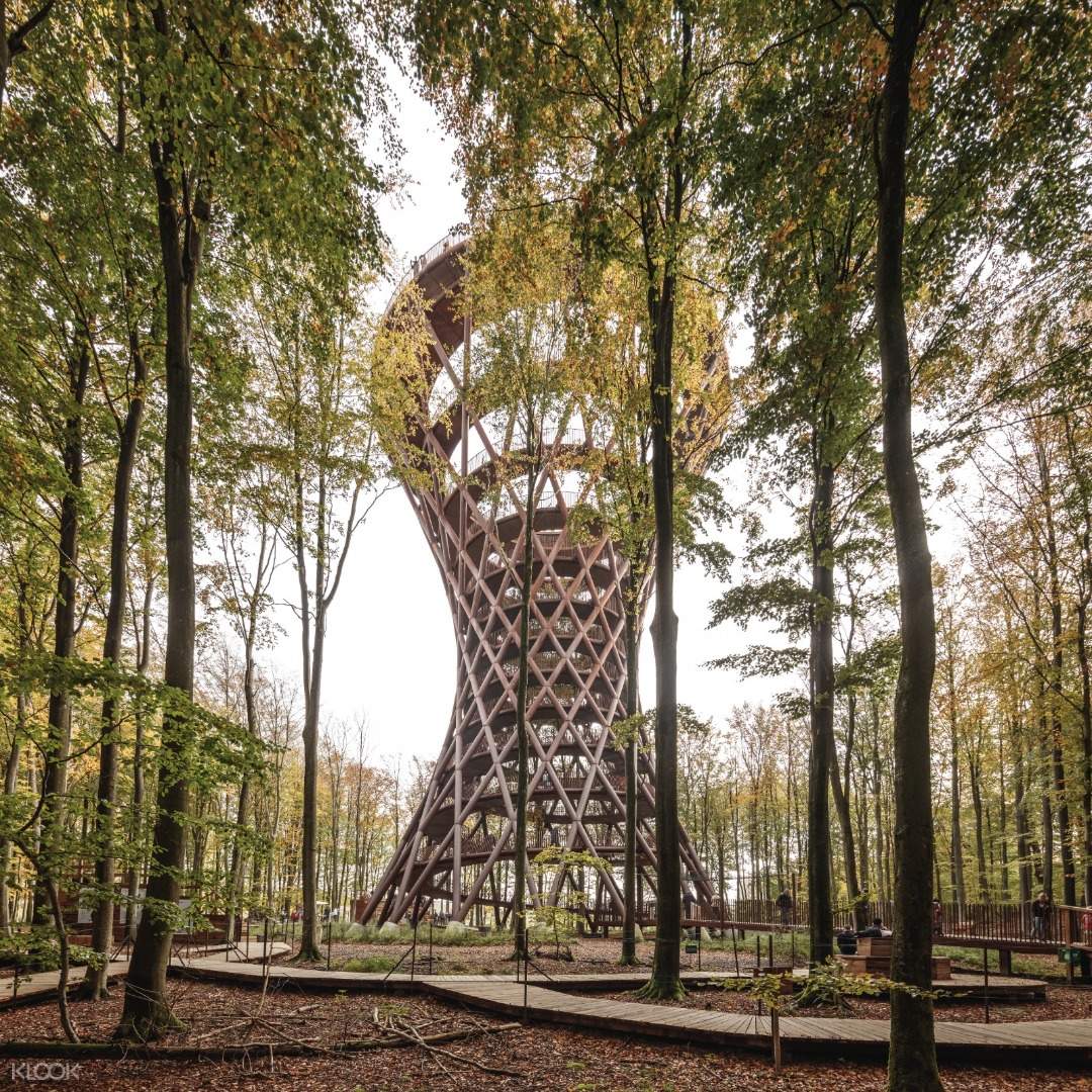 Camp Adventure Forest Tower Admission Ticket - Klook UK